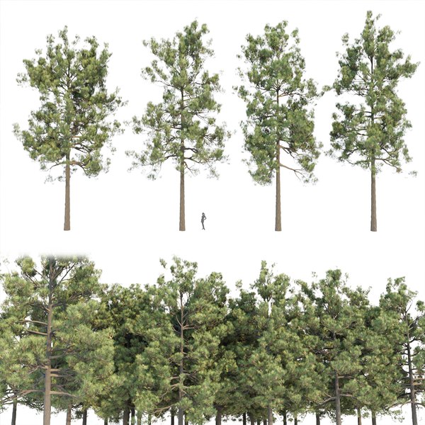 3D pine trees collection vol 19 - TurboSquid 1957556