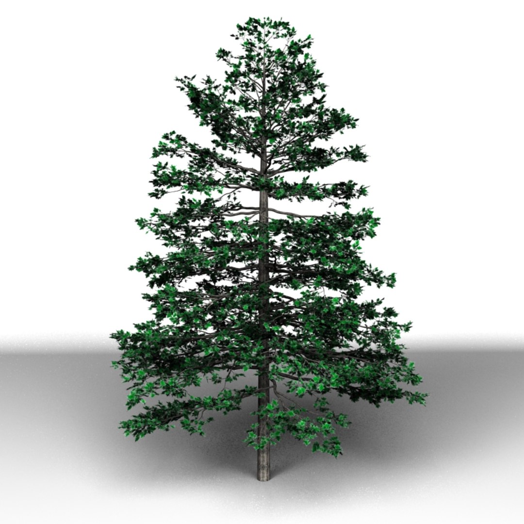 tree modo 3d model
