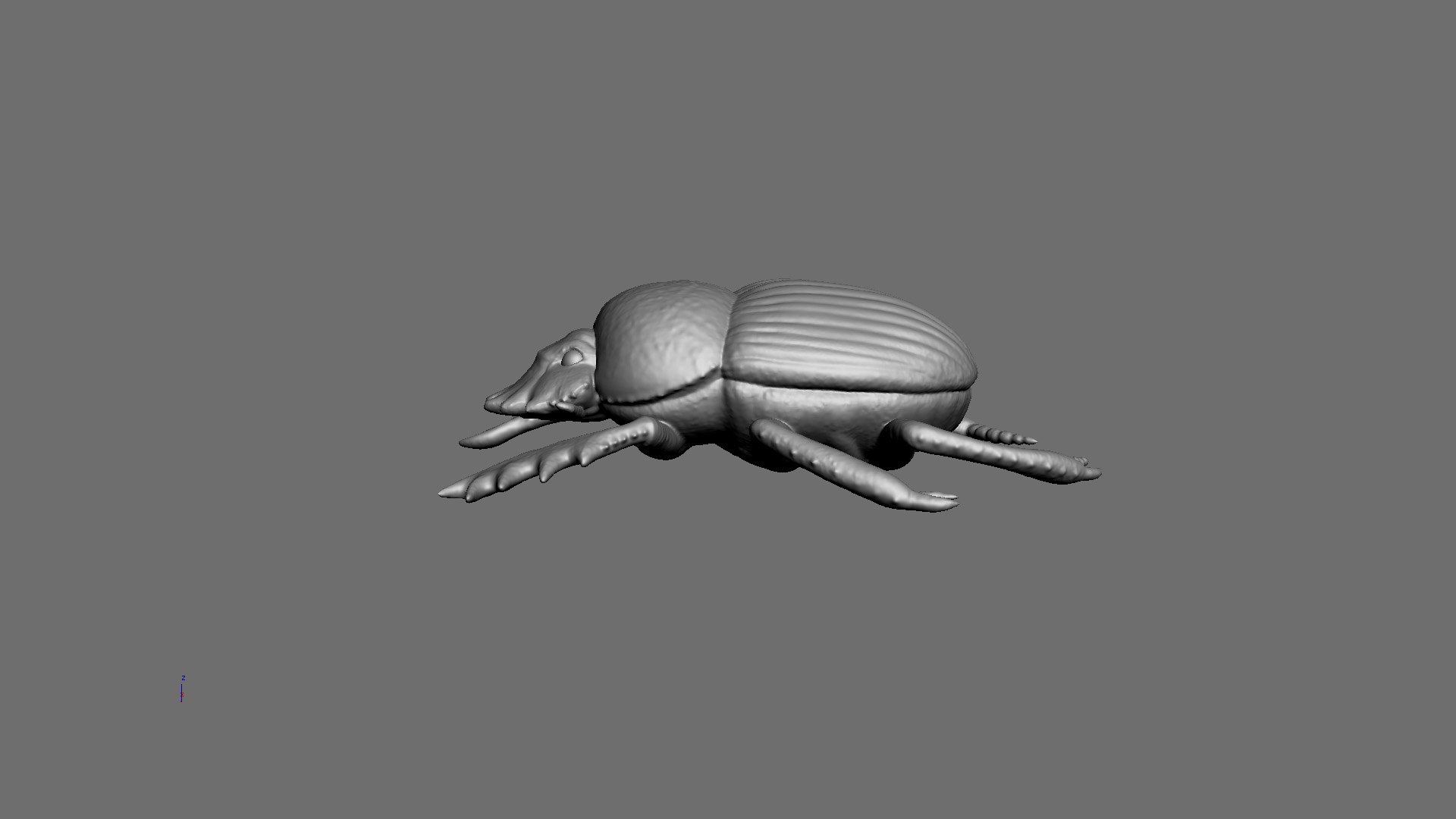 3D Scarab Beetle 3D Print - TurboSquid 2103710