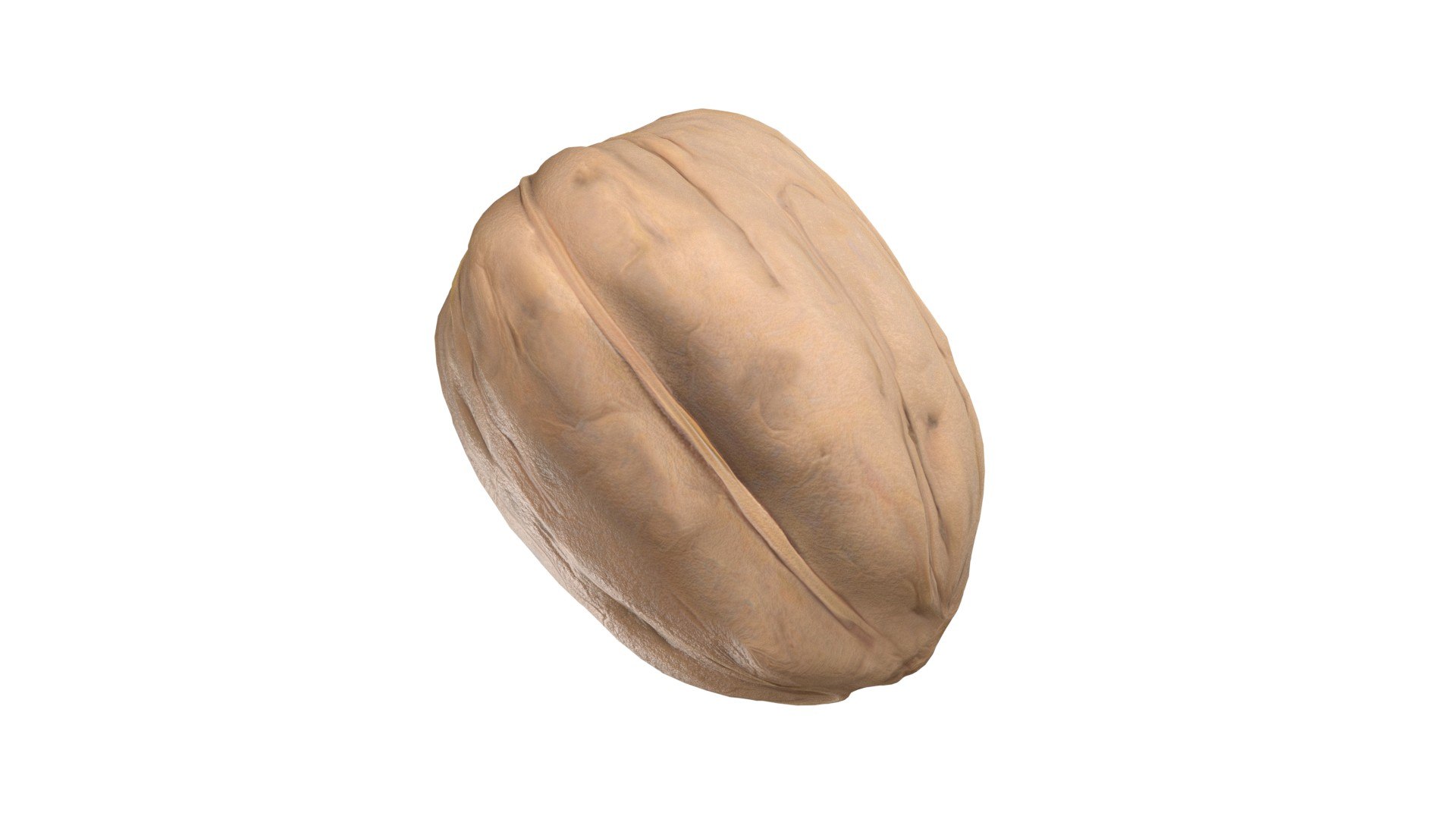 3D Walnut V3 - TurboSquid 2397146