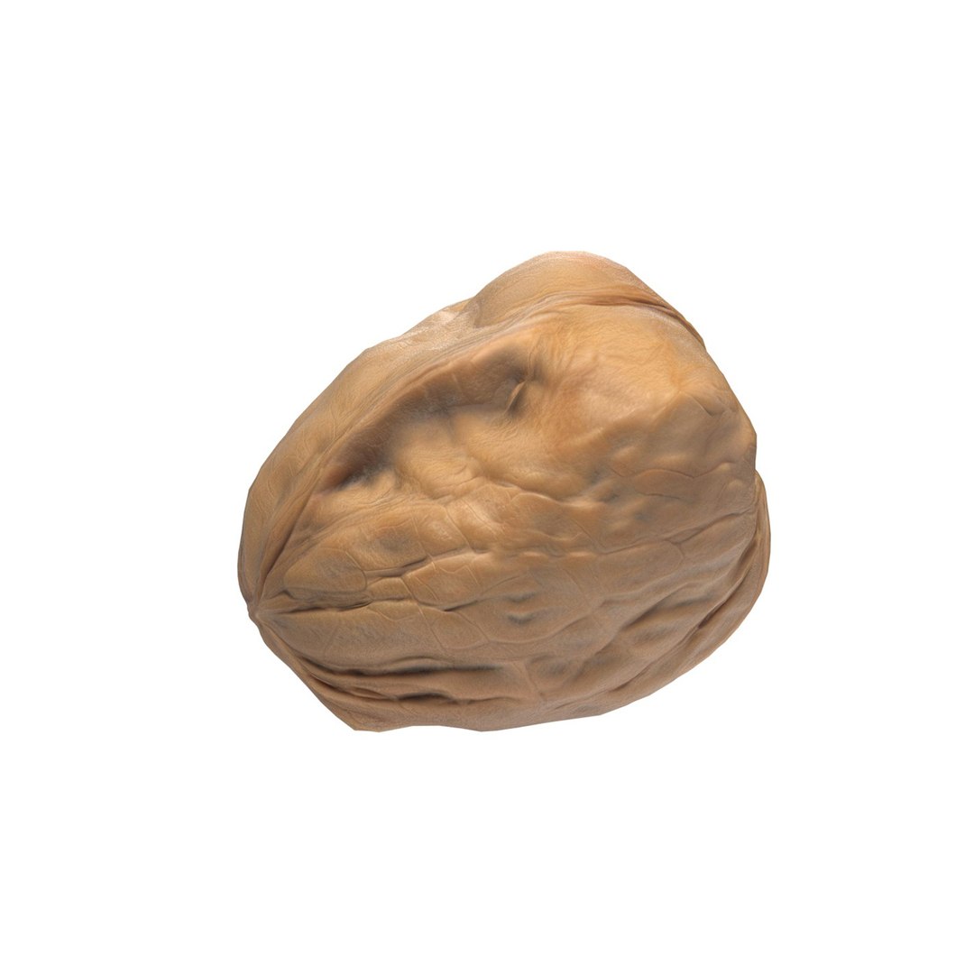 3D Walnut V3 - TurboSquid 2397146