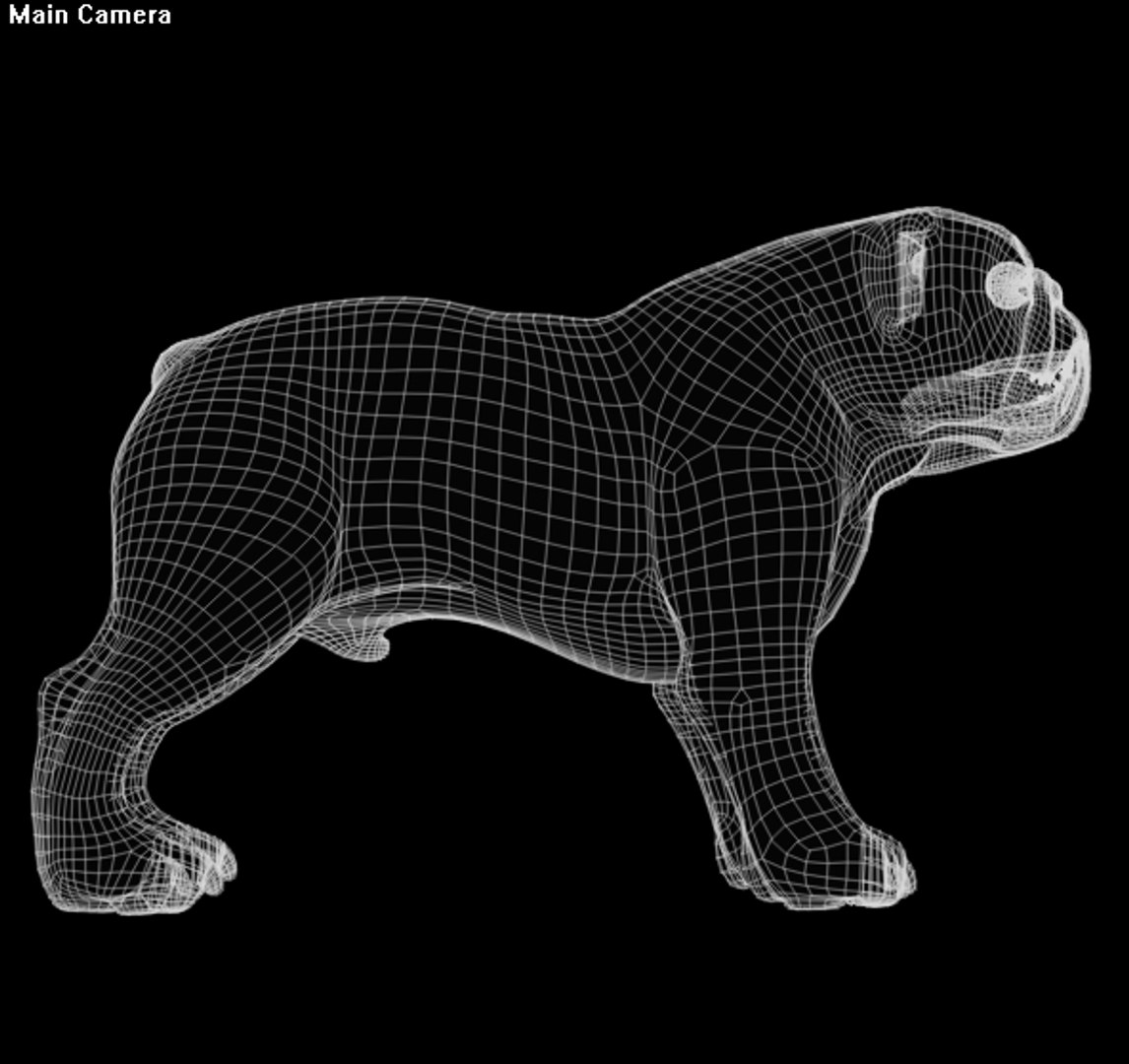 Bull Bulldog Dog 3d Model