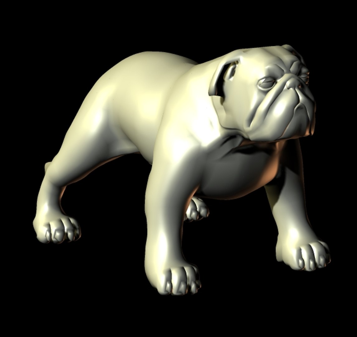Bull Bulldog Dog 3d Model
