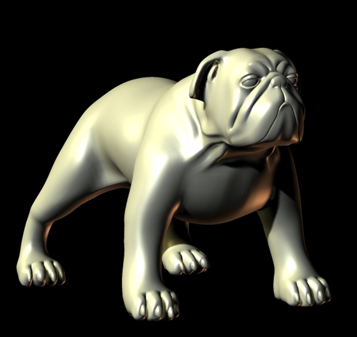 Bull Bulldog Dog 3d Model