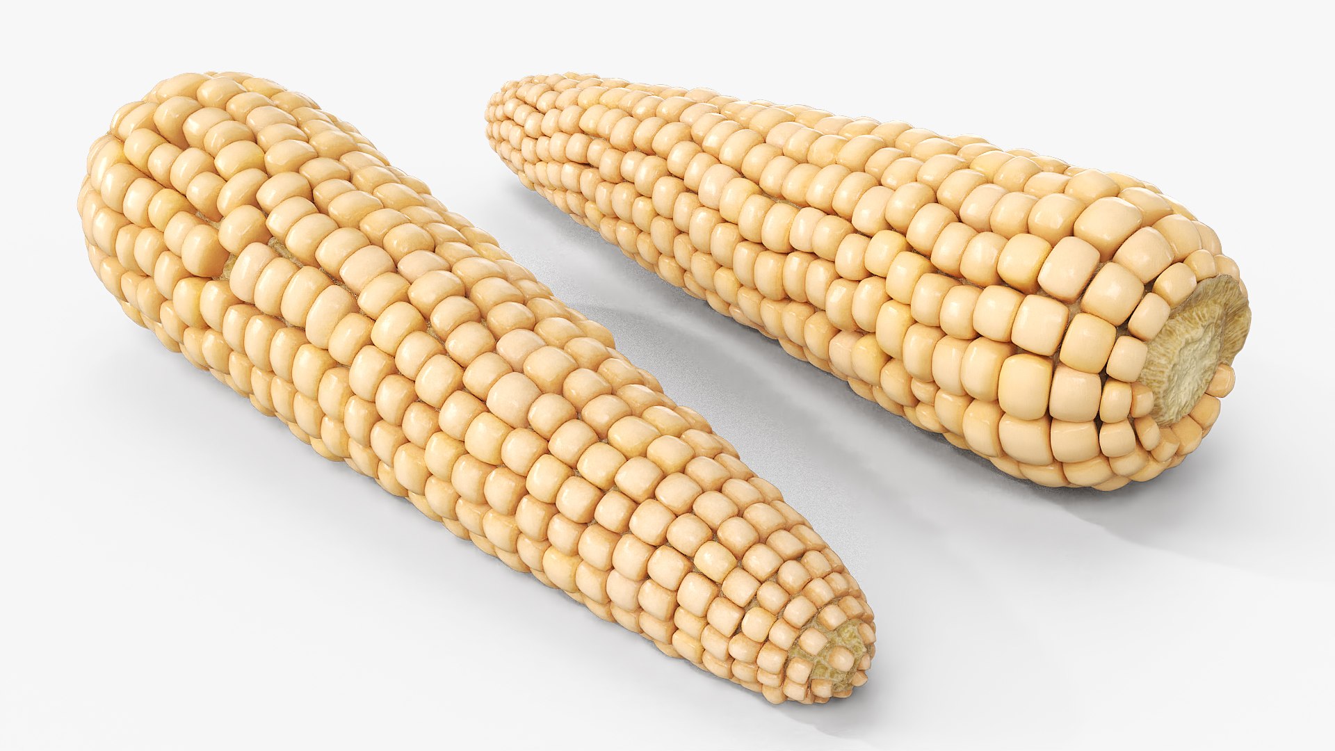 3D модель Белый мех кукурузного початка - TurboSquid 2460250