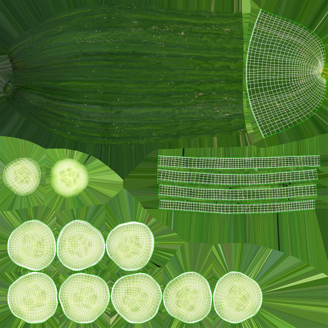 Prop 17 cucumber slices Type 01 3D model - TurboSquid 2146758