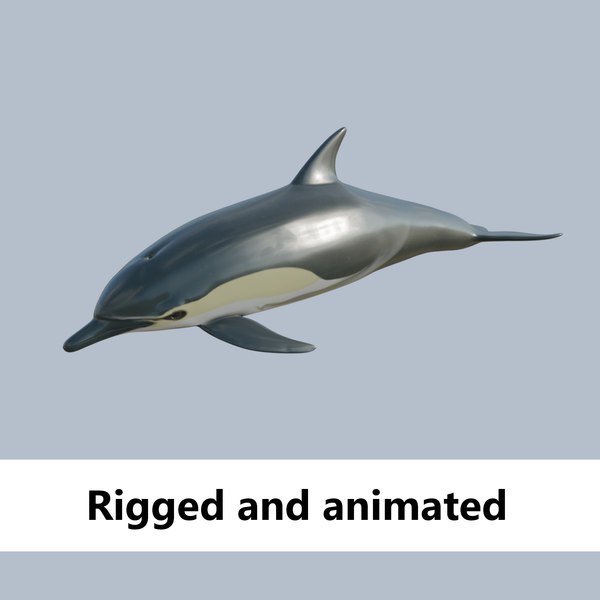Dolphin Blender Models for Download | TurboSquid