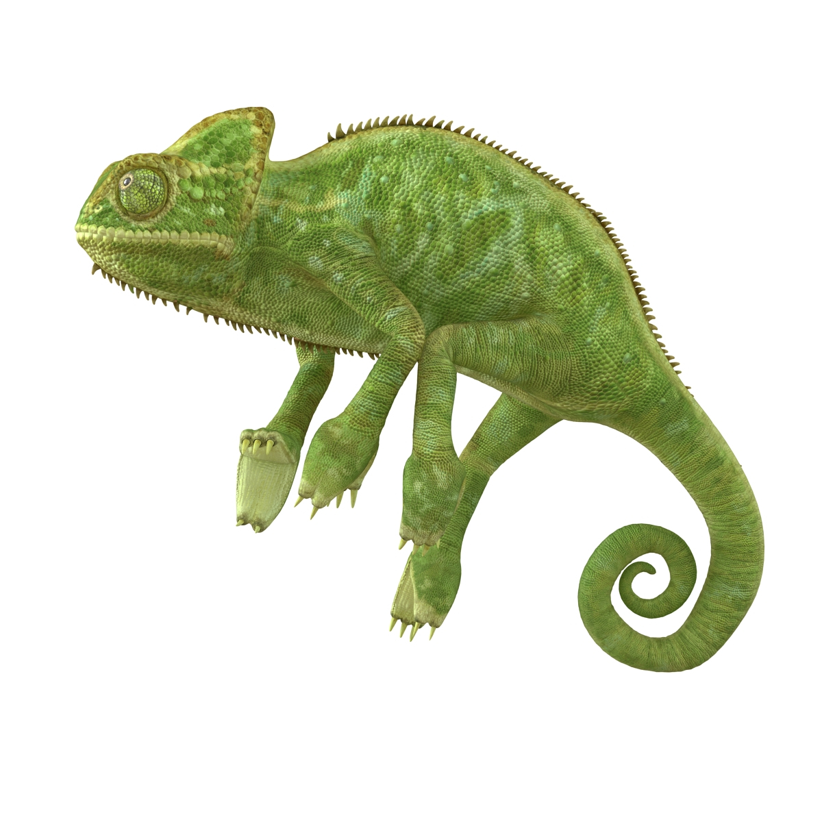 3d chameleon pose 2 model