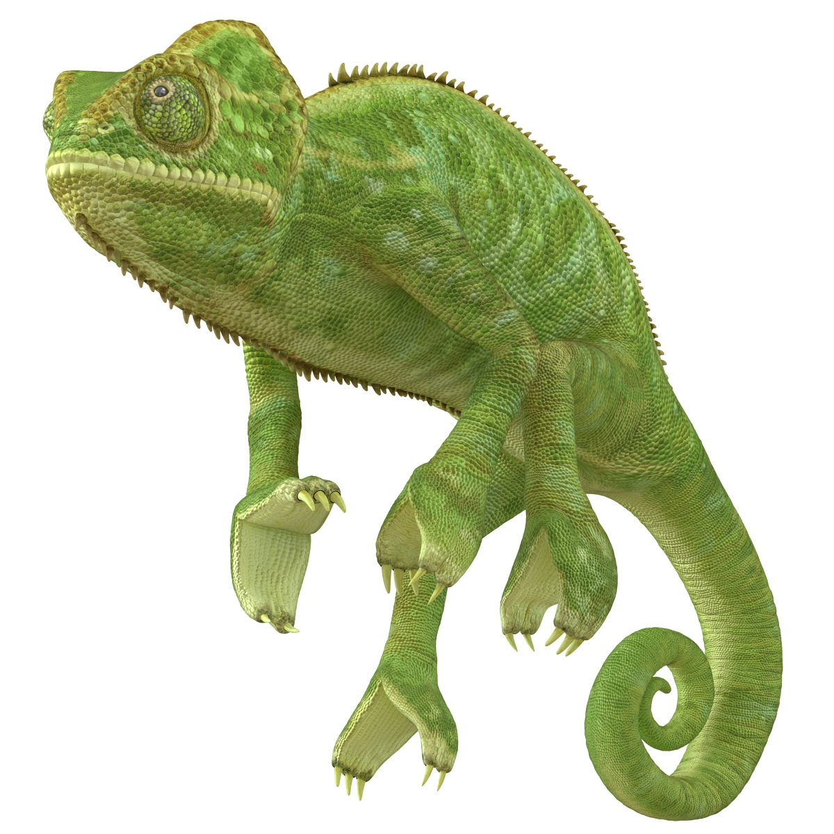 3d chameleon pose 2 model