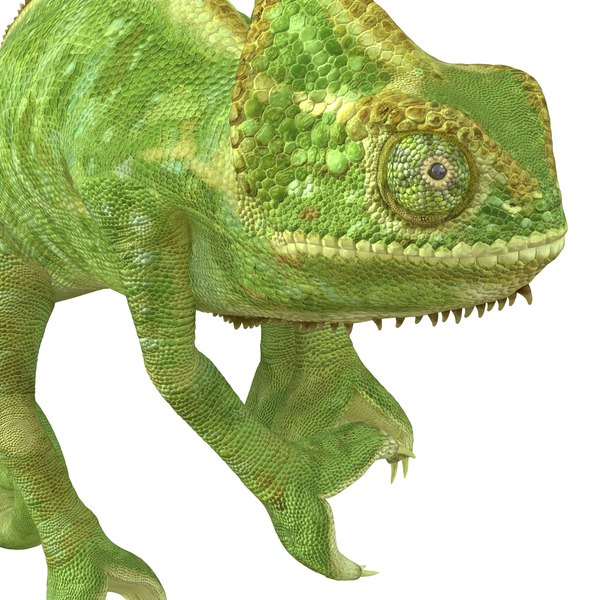 3d chameleon pose 2 model