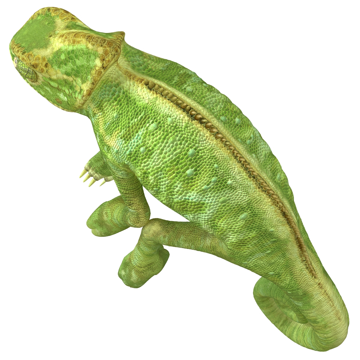 3d chameleon pose 2 model