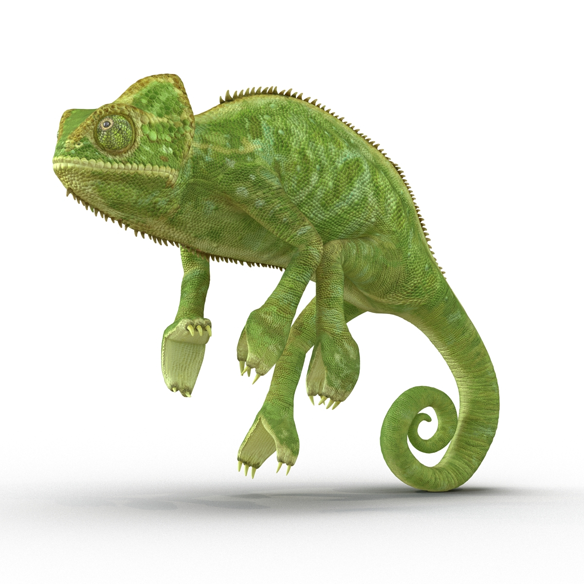 3d chameleon pose 2 model
