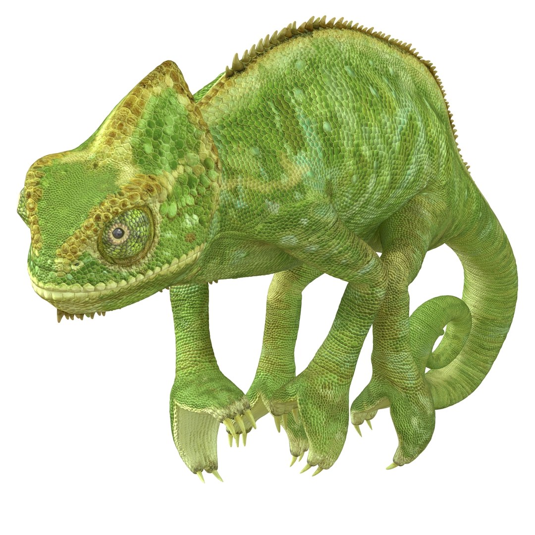 3d chameleon pose 2 model
