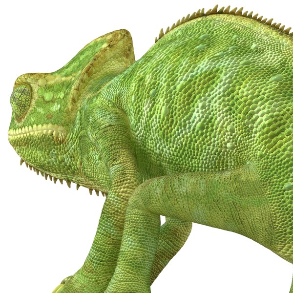 3d chameleon pose 2 model
