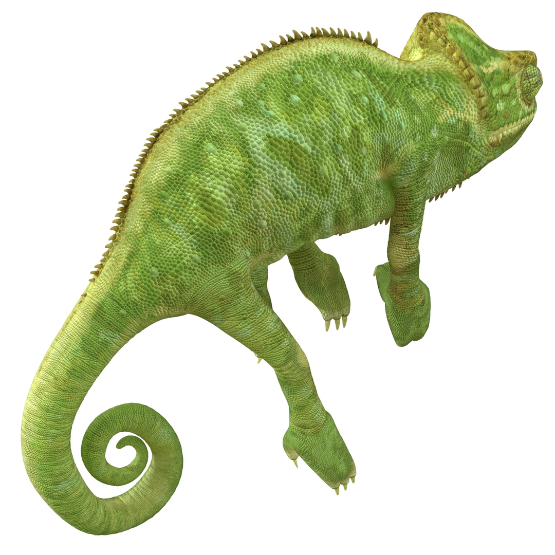 3d chameleon pose 2 model