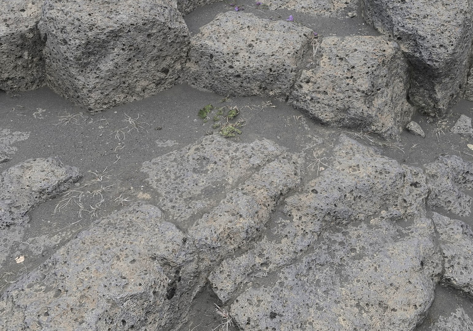 Iceland Basalt Ground 3D Model - TurboSquid 1606453