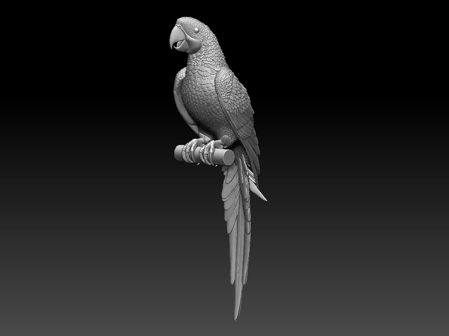 3D Model Parrot Bird Animal - TurboSquid 1655040