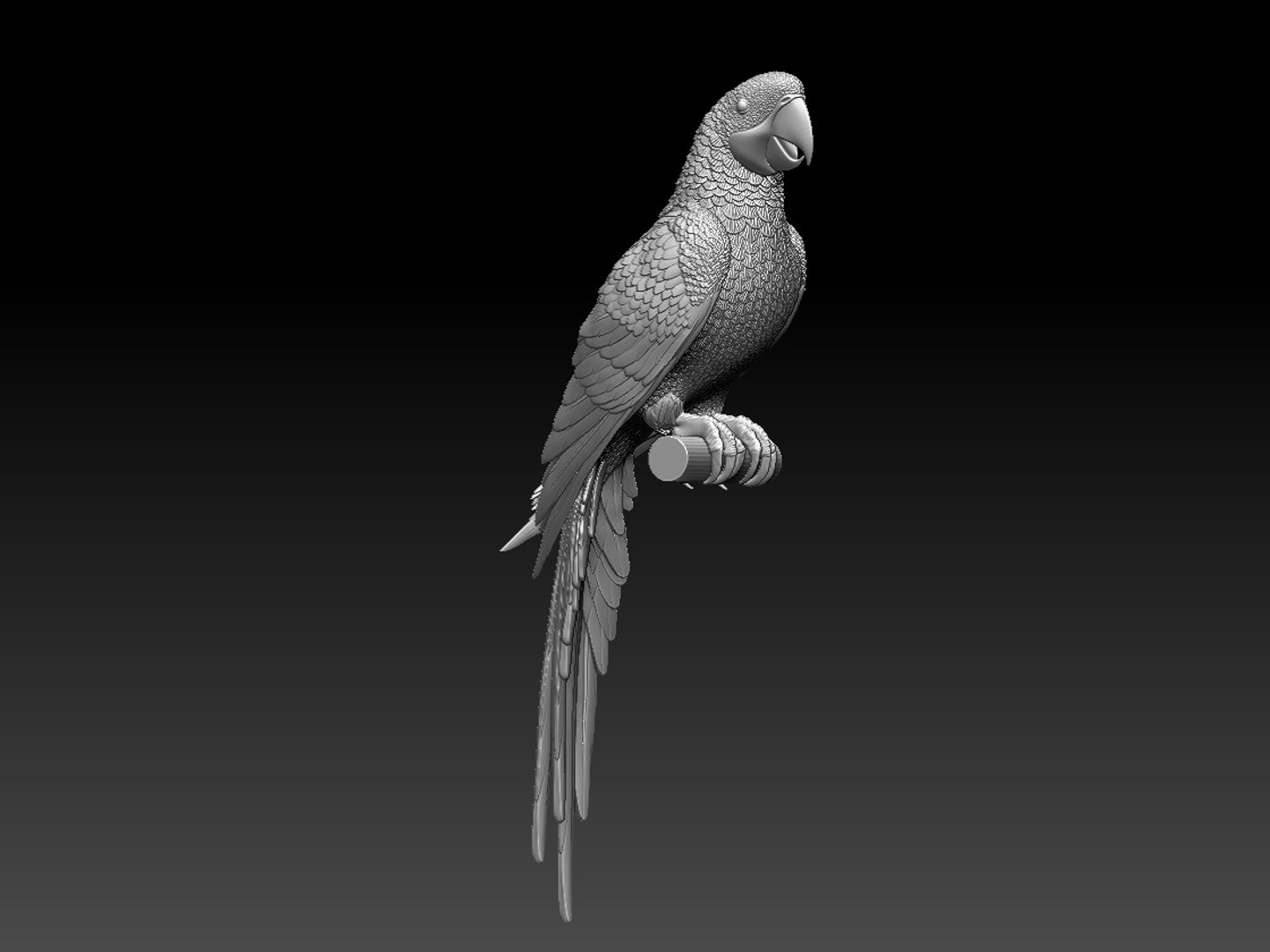 3D Model Parrot Bird Animal - TurboSquid 1655040