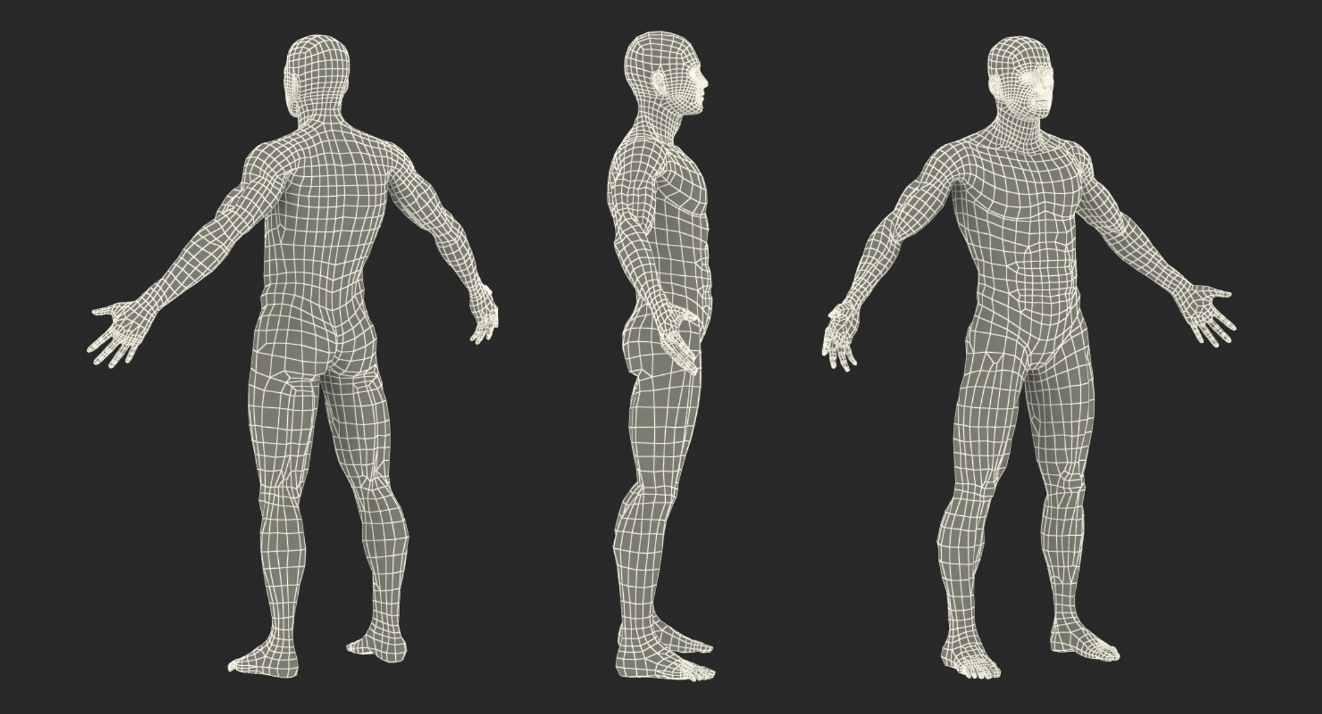 Anatomy male muscular 3D model - TurboSquid 1236282