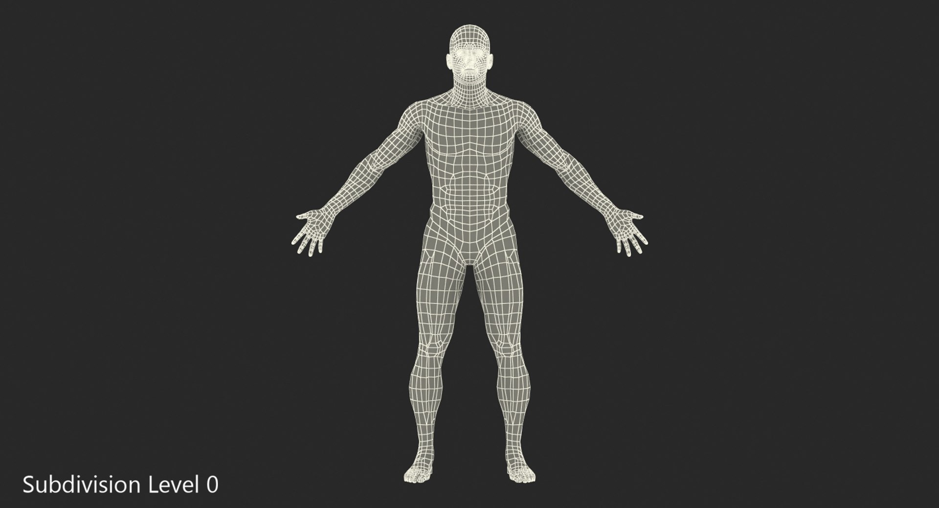 Anatomy Male Muscular 3D Model - TurboSquid 1236282