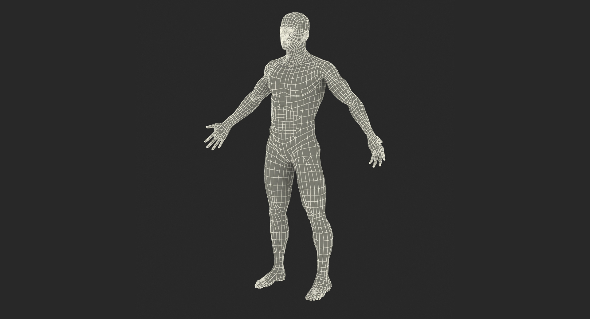 Anatomy Male Muscular 3D Model - TurboSquid 1236282