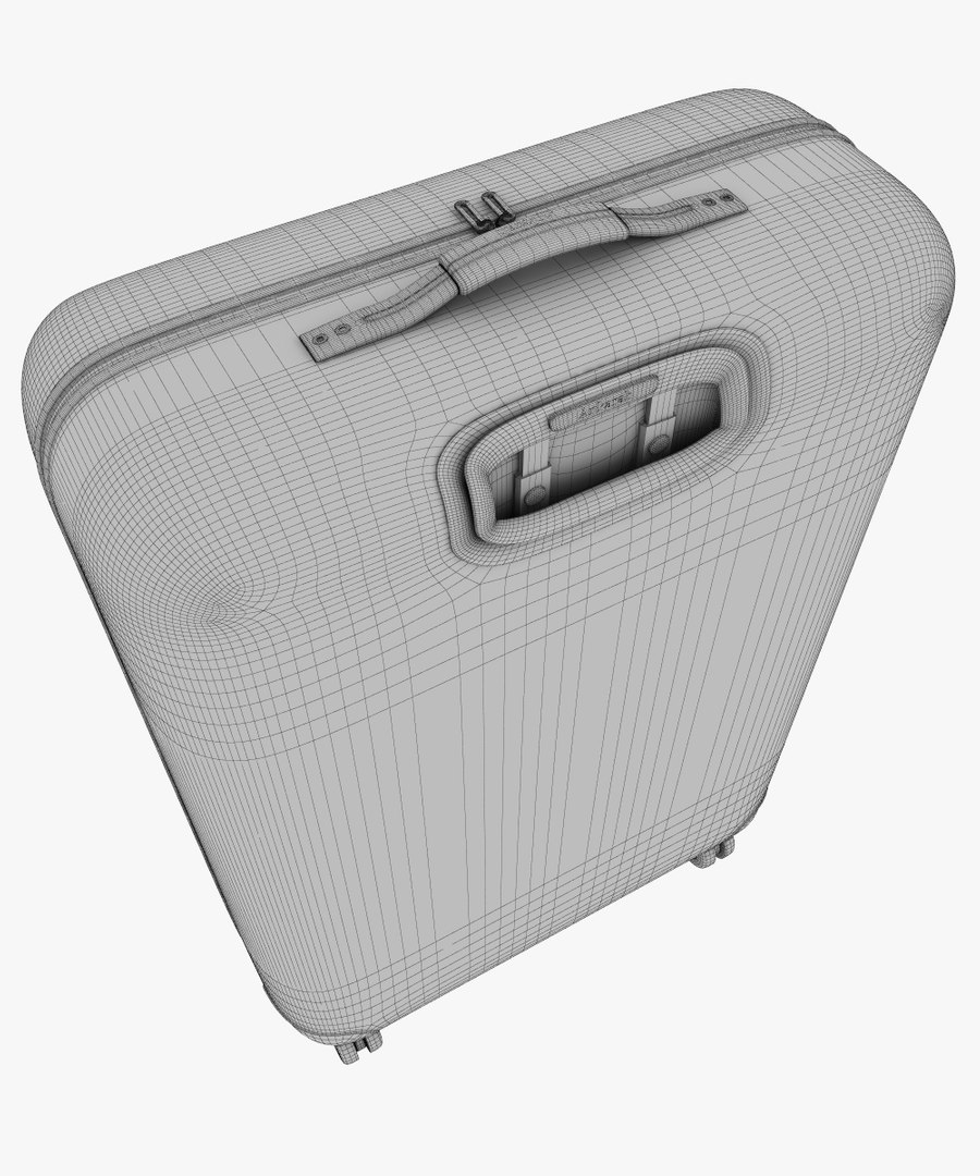 Baggage Bag Travel 3d 3ds