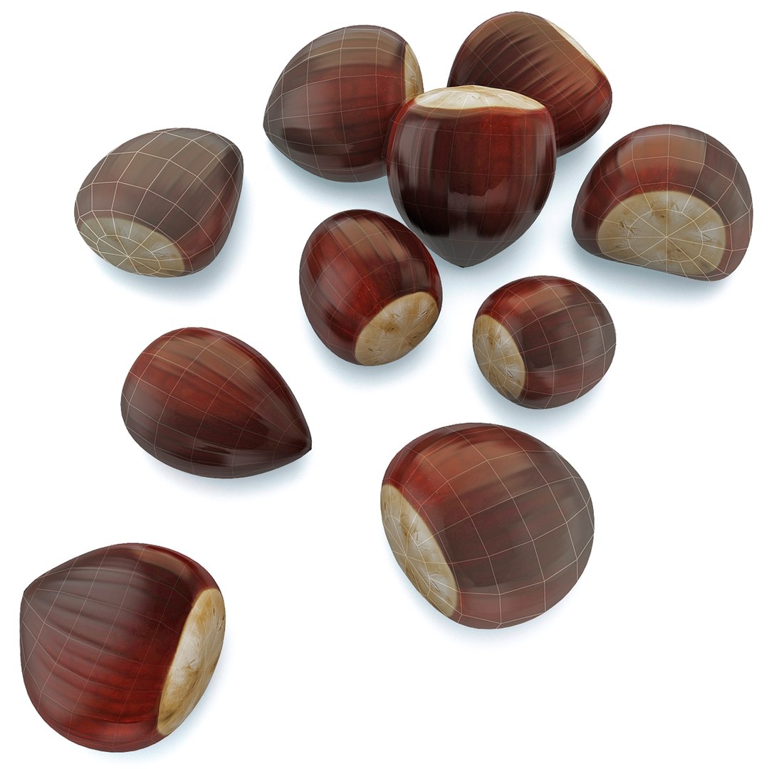 Chestnut 2 Nut 3d Max