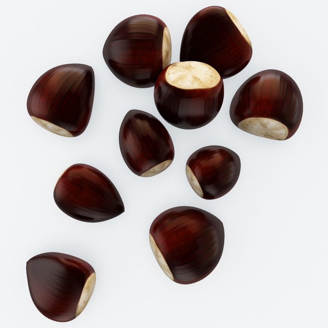 Chestnut 2 Nut 3d Max