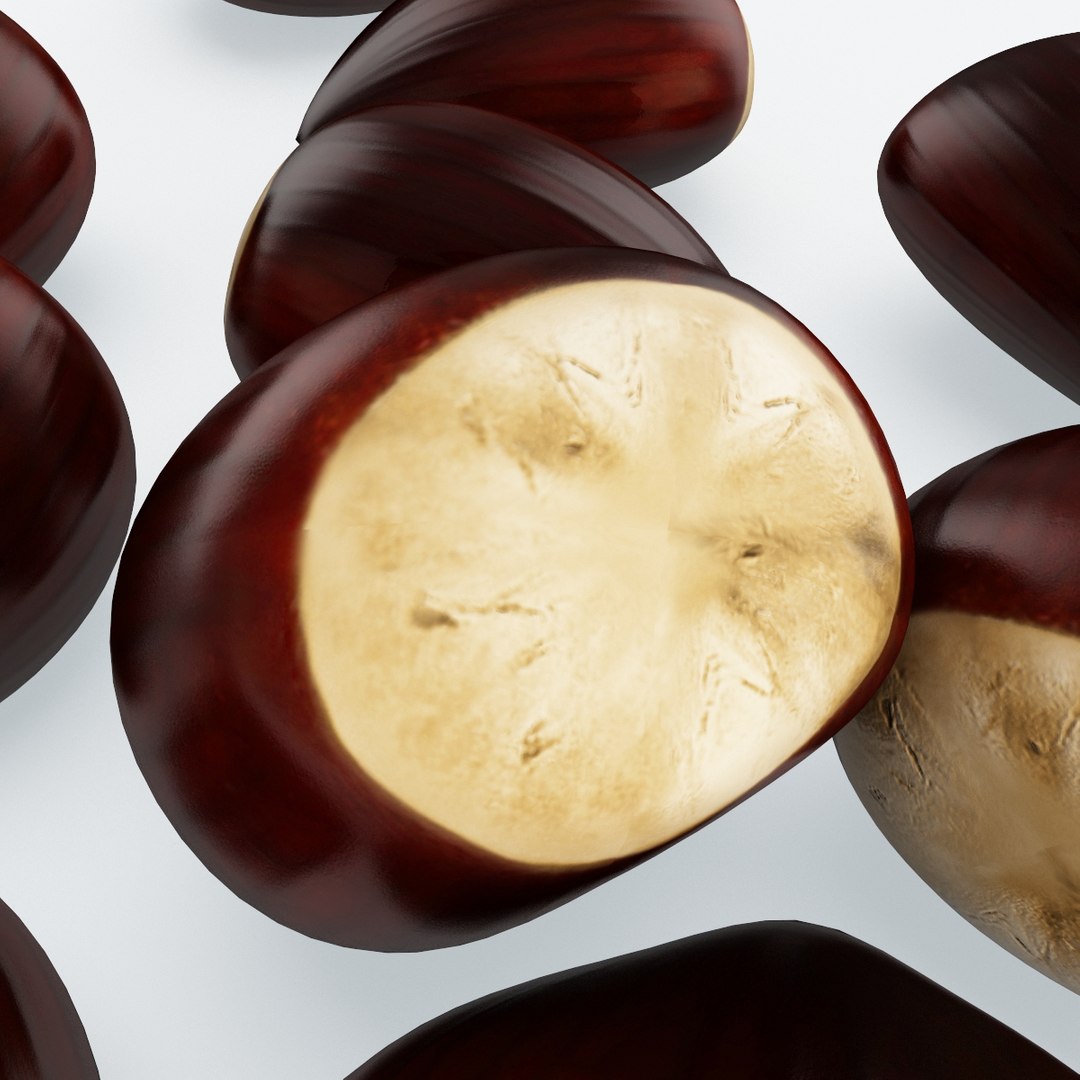 Chestnut 2 Nut 3d Max