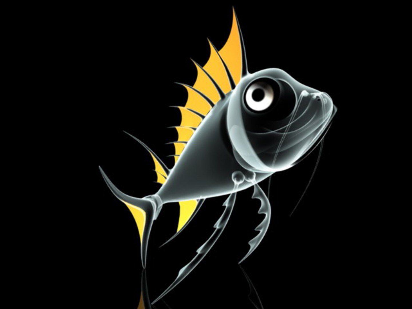 3d cartoon fish model