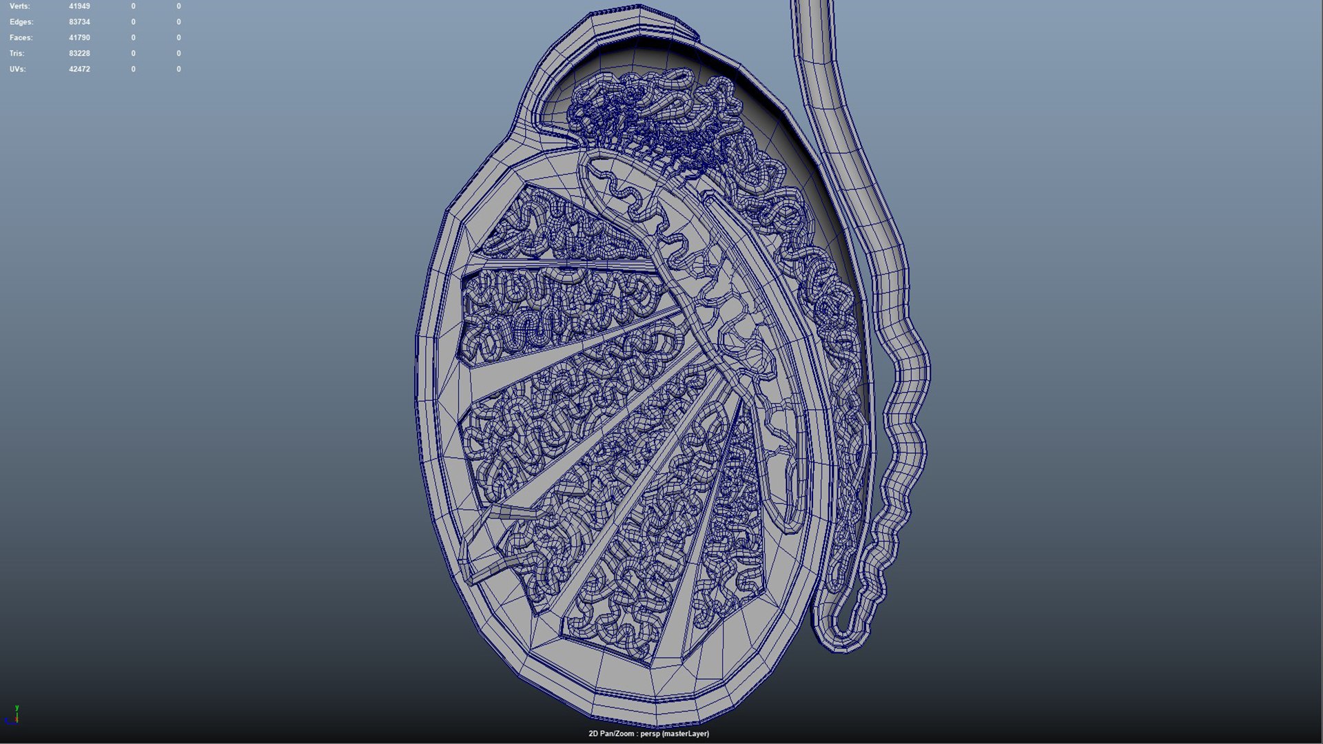 Testis Cross Section 3D Model - TurboSquid 2192751