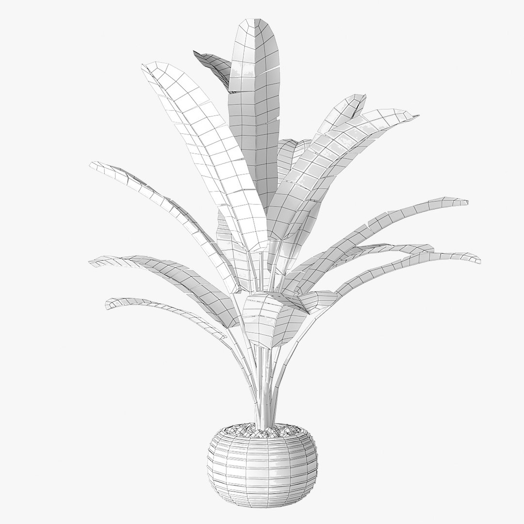 3D Banana Tree Model - TurboSquid 1233530
