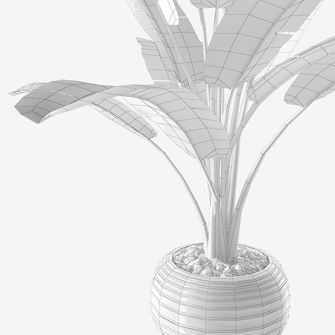 3D Banana Tree Model - TurboSquid 1233530