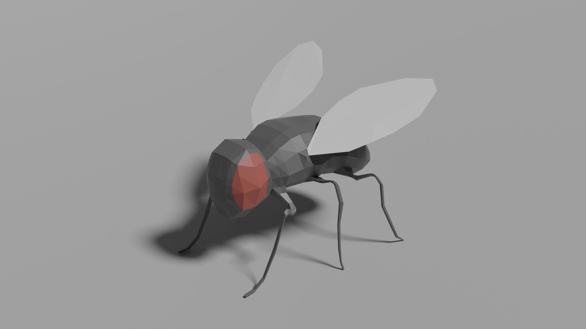 3D Low-poly Fly - TurboSquid 1777203