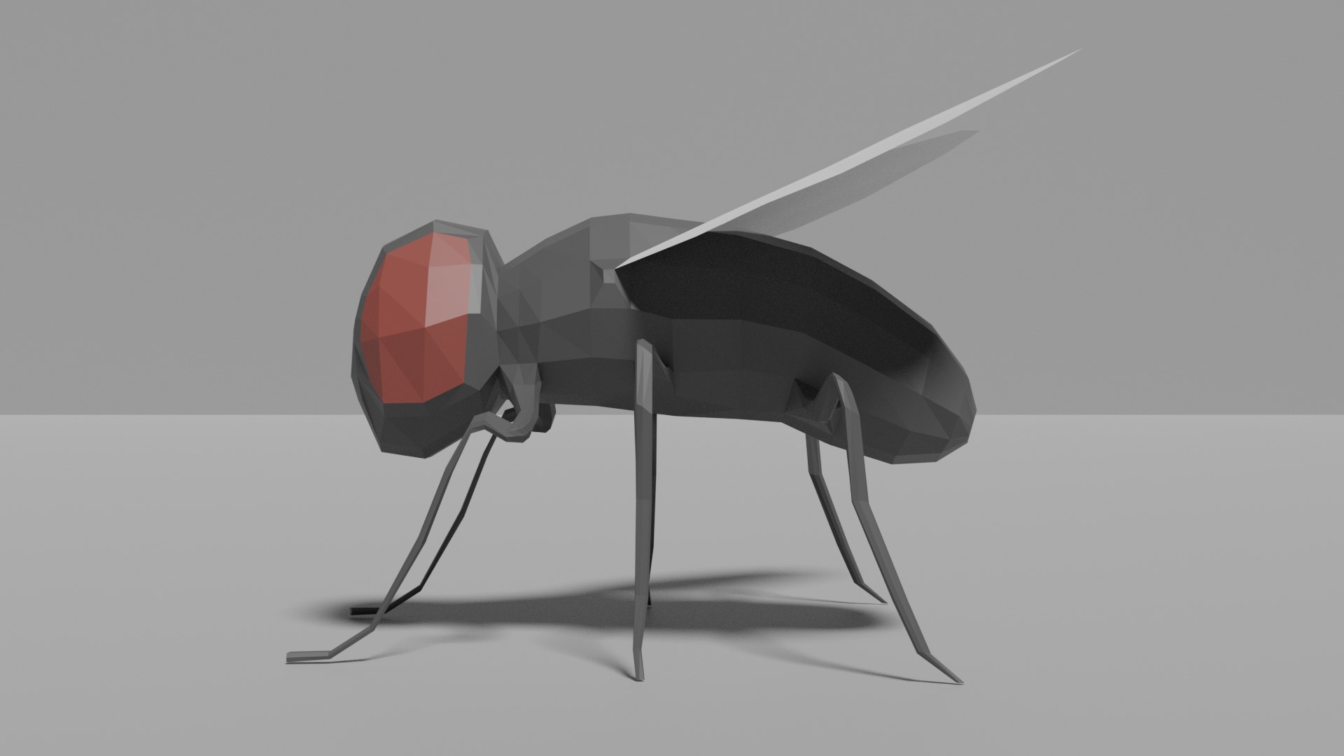 3D Low-poly Fly - TurboSquid 1777203