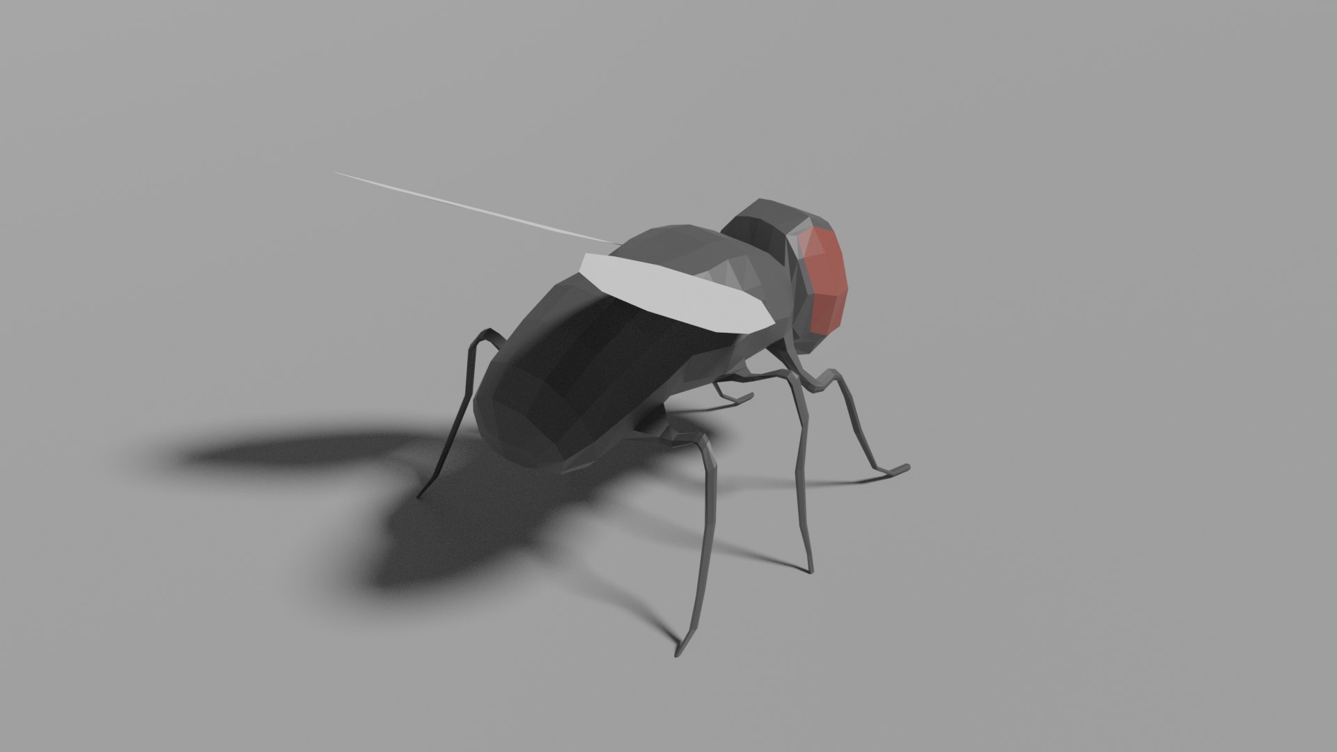 3D Low-poly Fly - TurboSquid 1777203