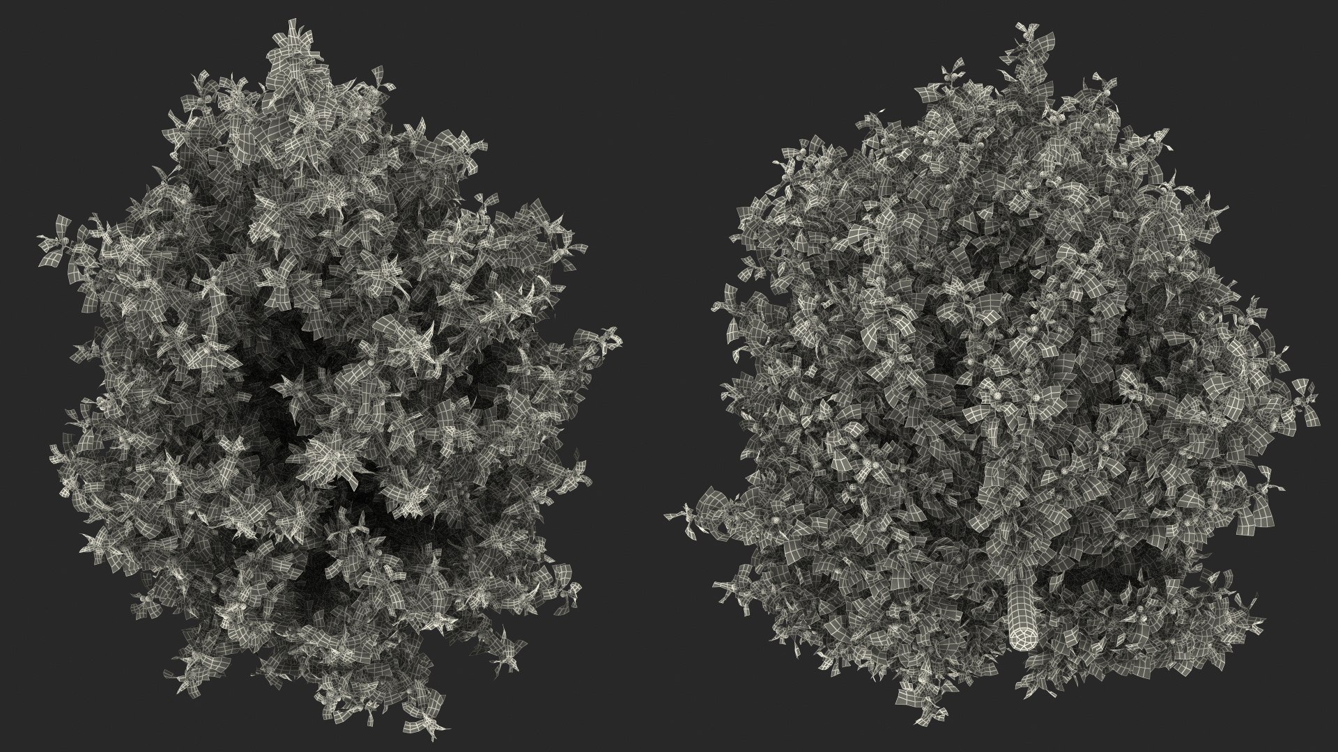 Holly Tree With Berries 3D Model - TurboSquid 1870643