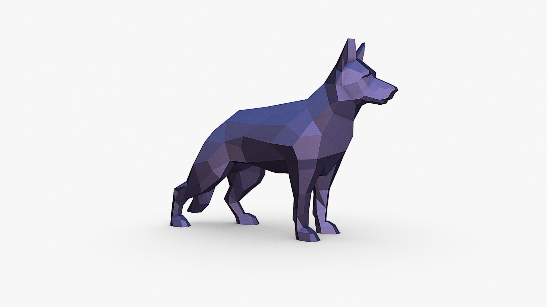 German Shepherd Model - TurboSquid 1974221