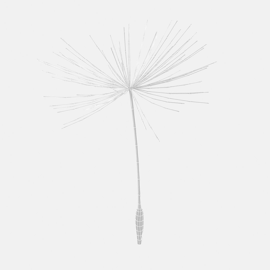 3d Dandelion Model