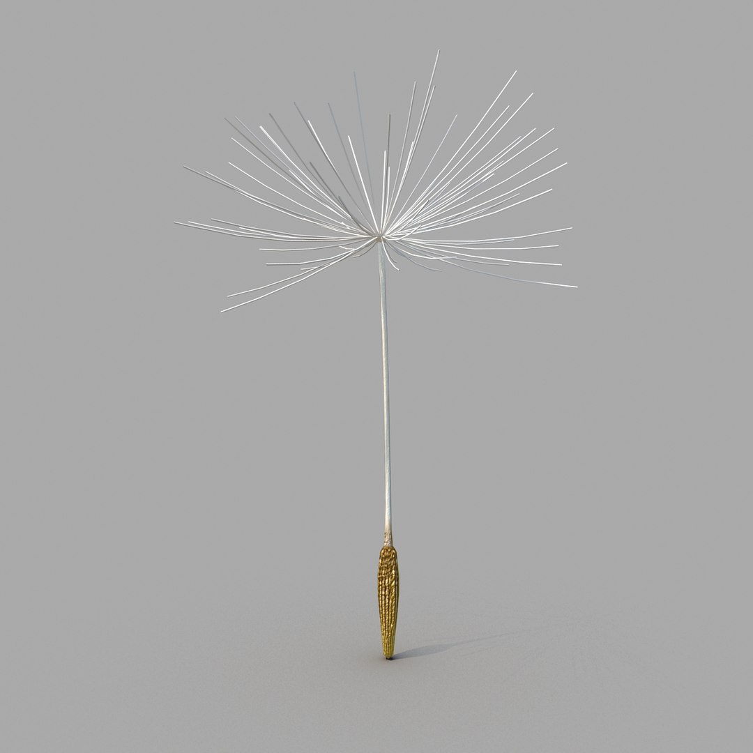 3d Dandelion Model