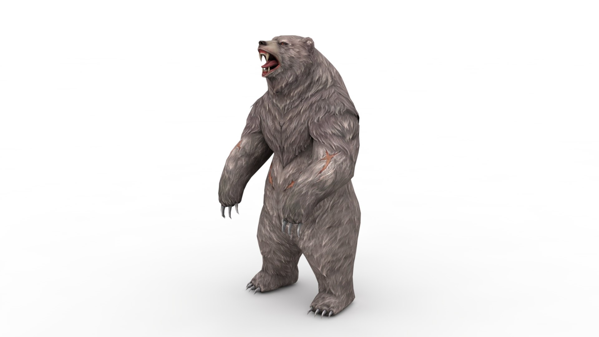 Bear 3D Model - TurboSquid 1948475