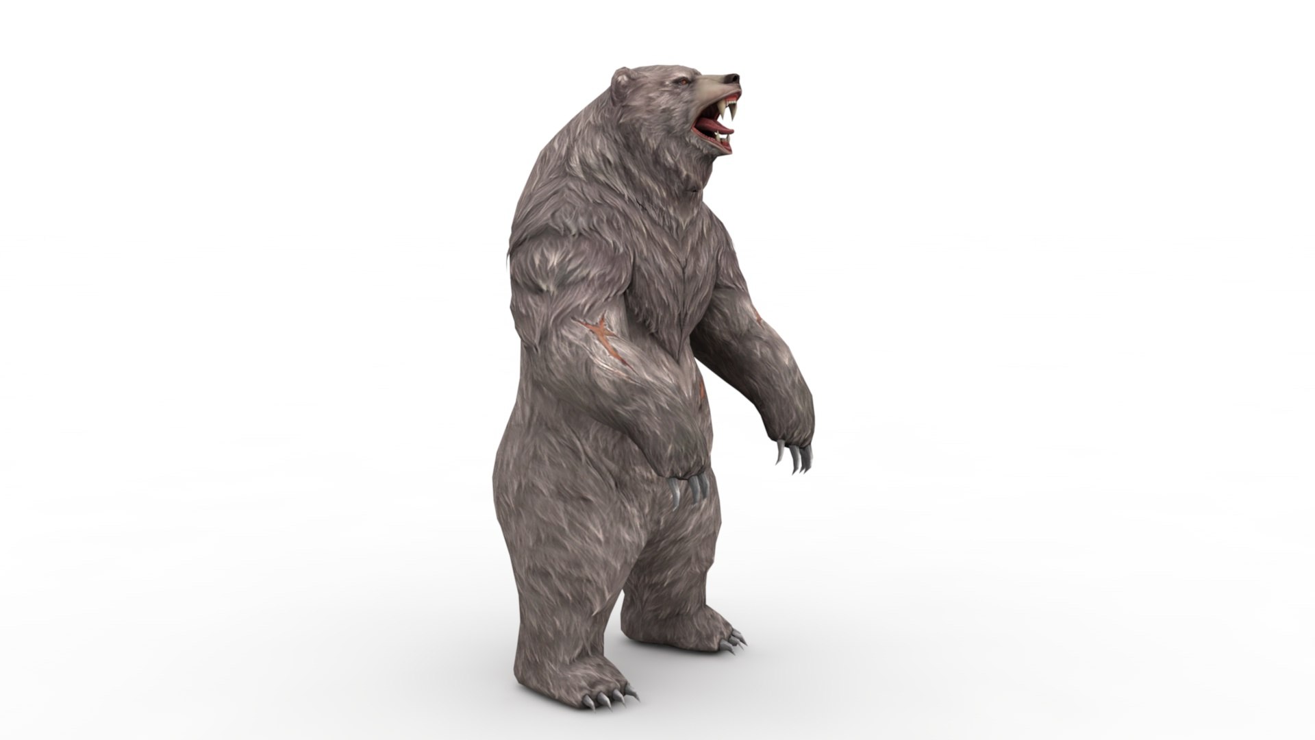 Bear 3D Model - TurboSquid 1948475