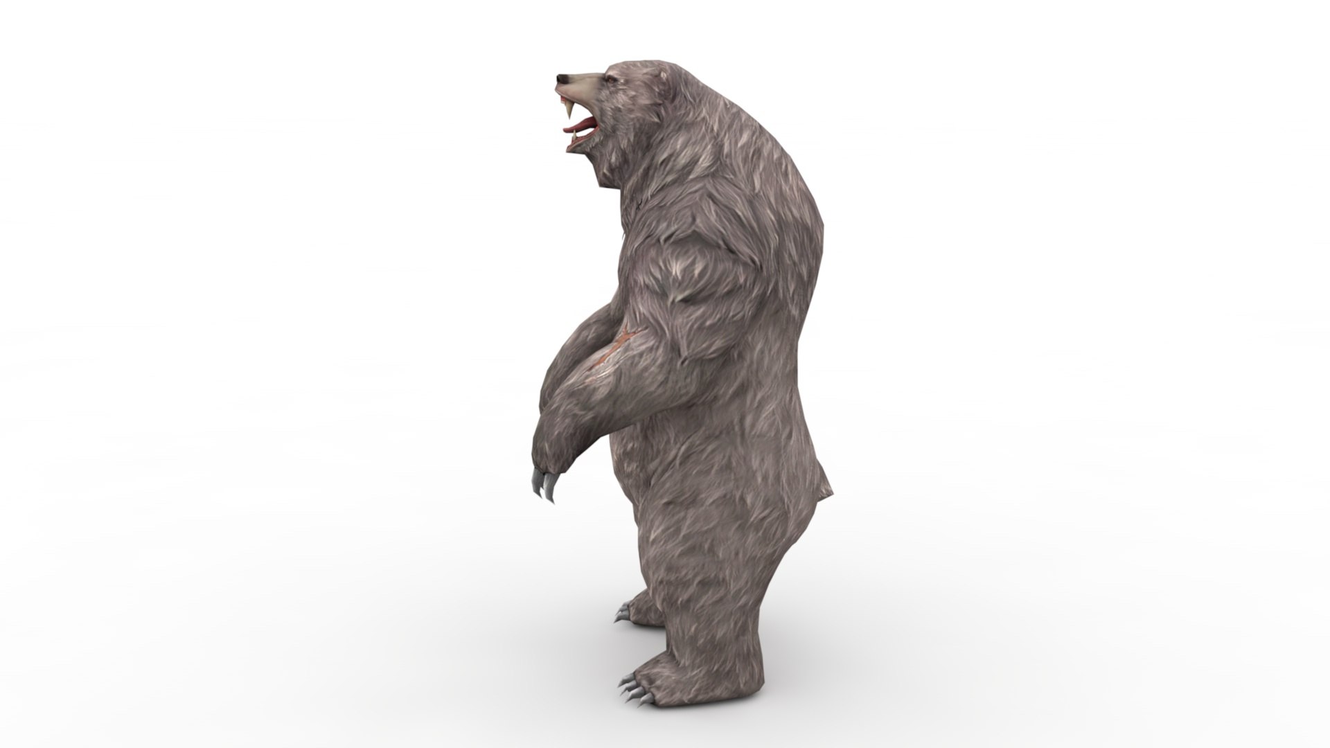 Bear 3D Model - TurboSquid 1948475