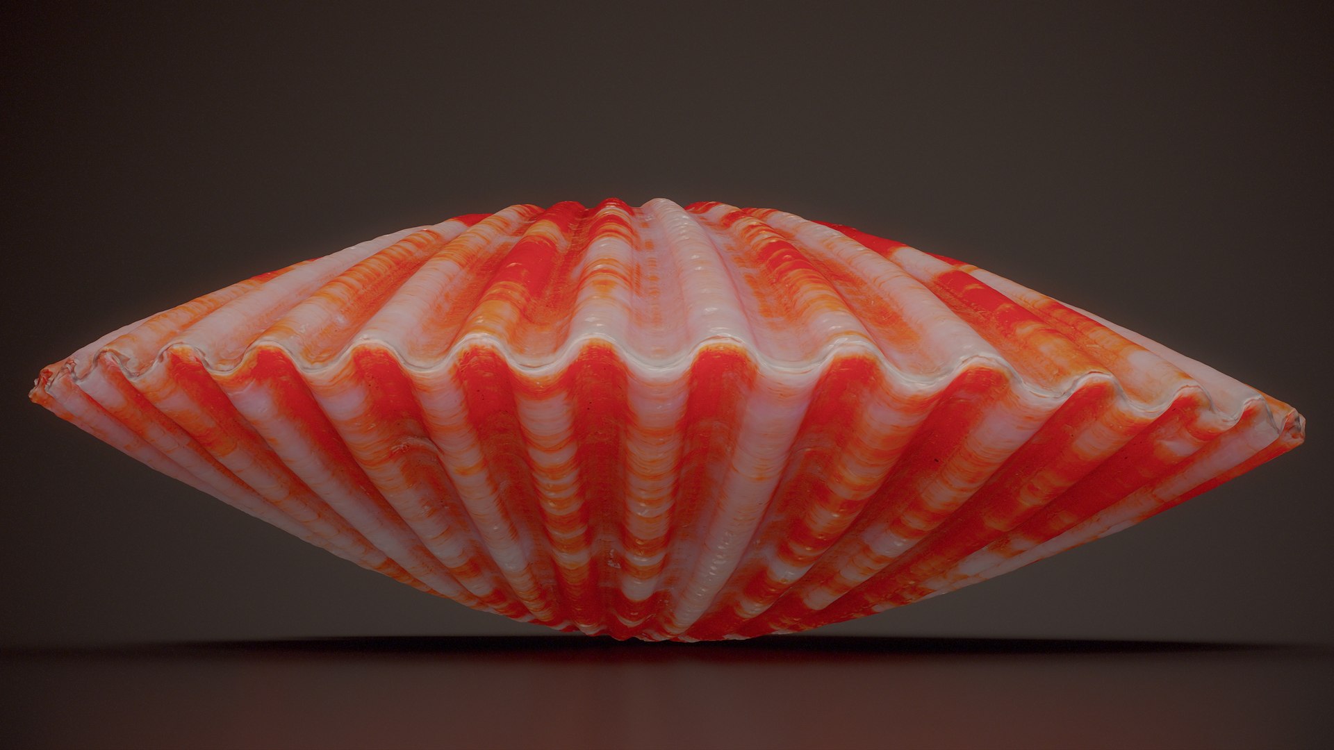 Red Scallop Chlamys Rubida Shell 64 3D Model - TurboSquid 2507223