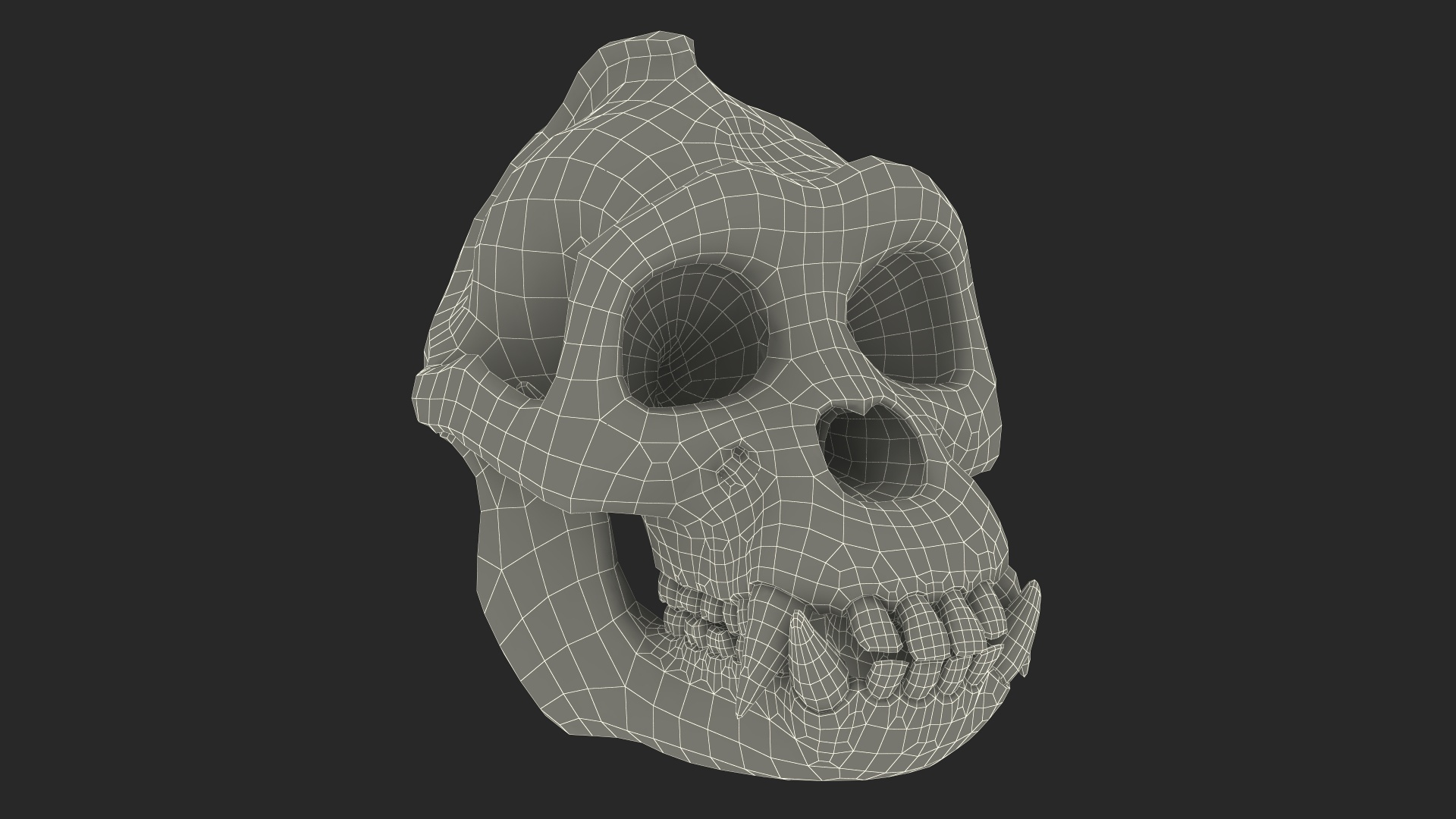 3D Gorilla Skull Model - TurboSquid 2061282