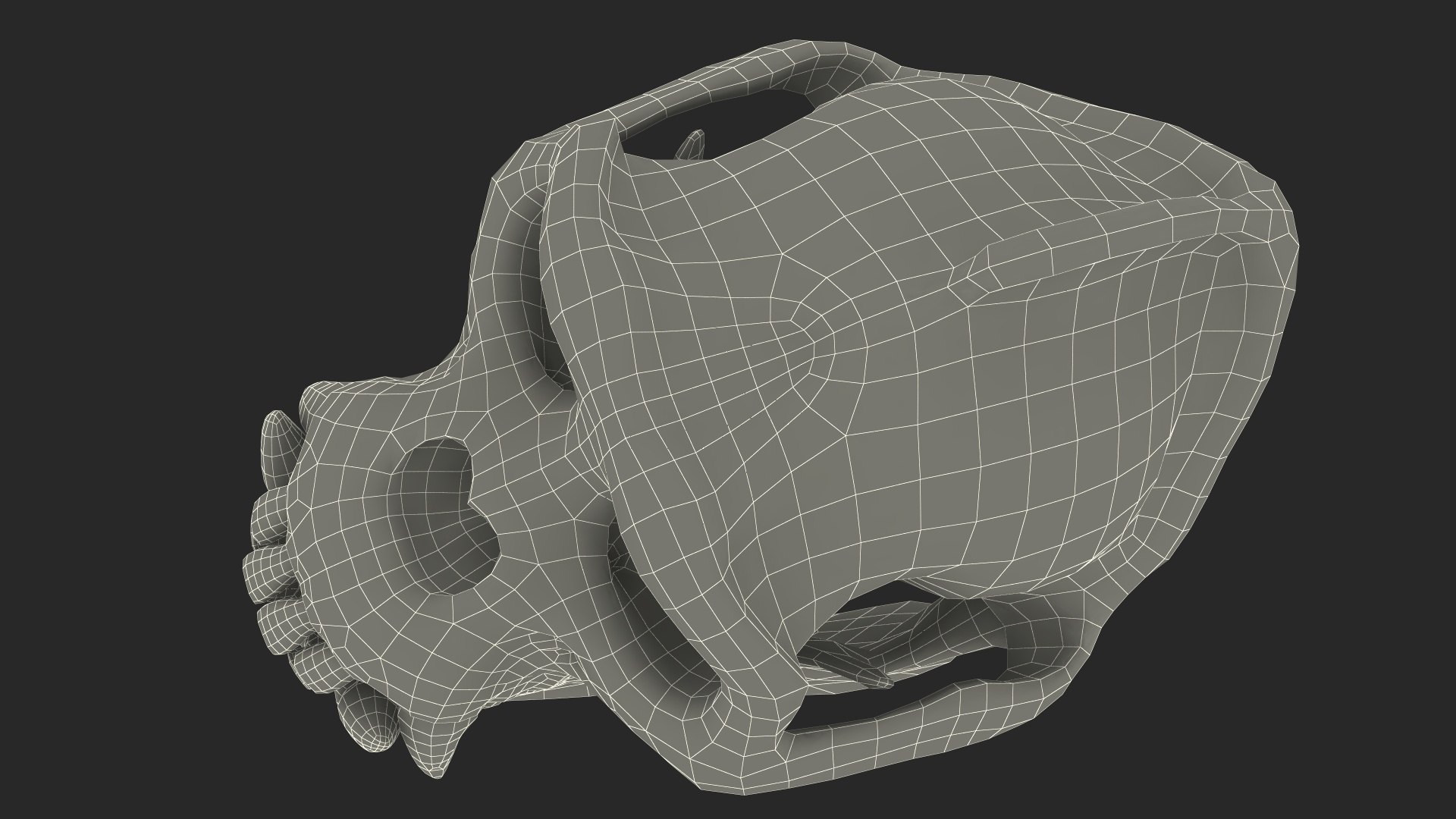 3D Gorilla Skull Model - TurboSquid 2061282