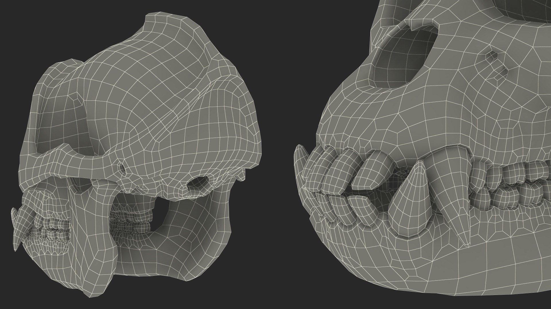 3D Gorilla Skull Model - TurboSquid 2061282