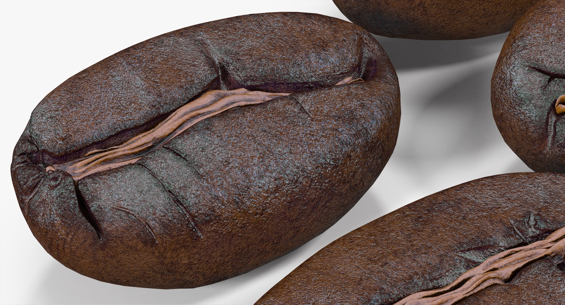 3d roasted coffee bean model