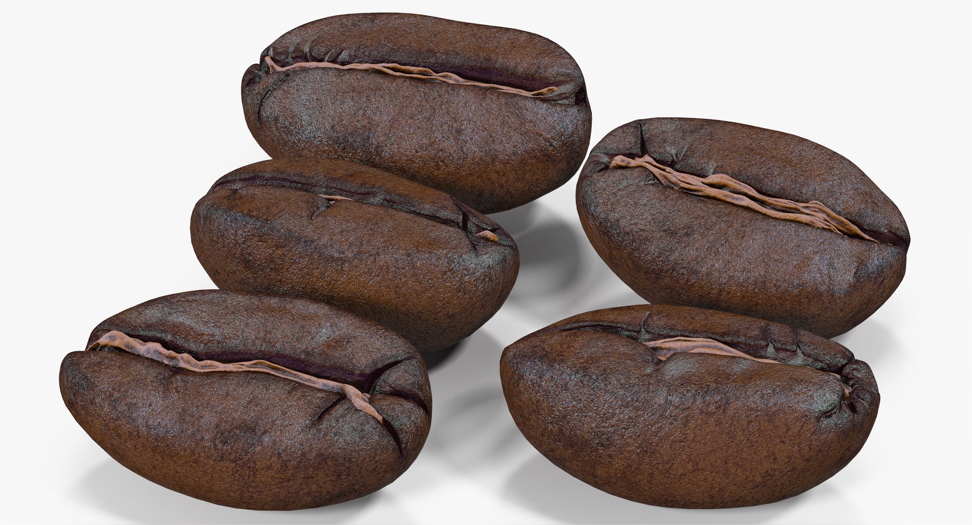 3d Roasted Coffee Bean Model