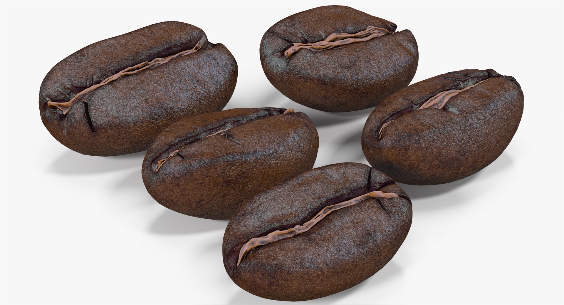 3d Roasted Coffee Bean Model